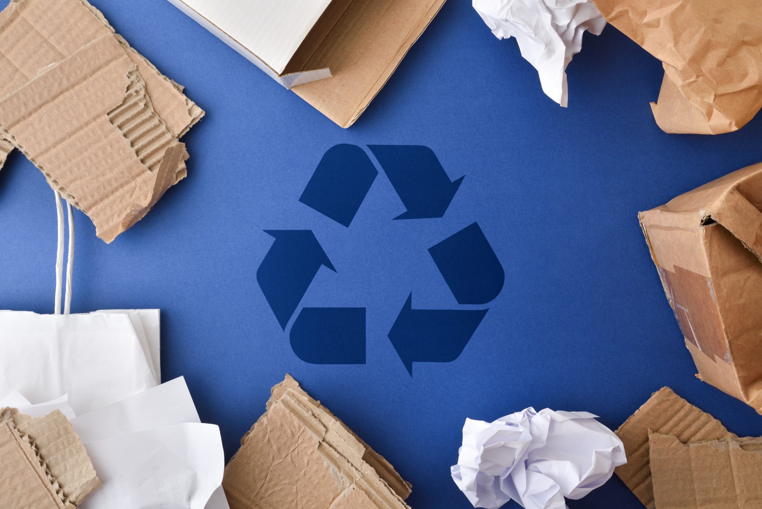 Papier w obiegu zamkniętym – kampania Eneris i Europapier Polska - Eneris